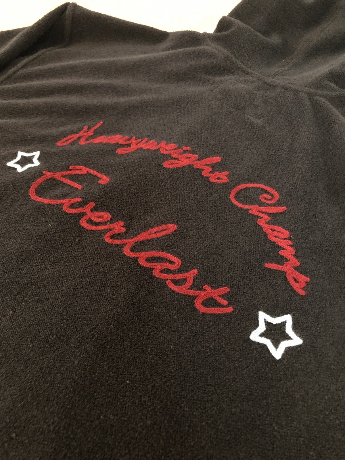 Vintage Everlast Boxing Hoodie World Heavy Weight Championship Rare Men ...