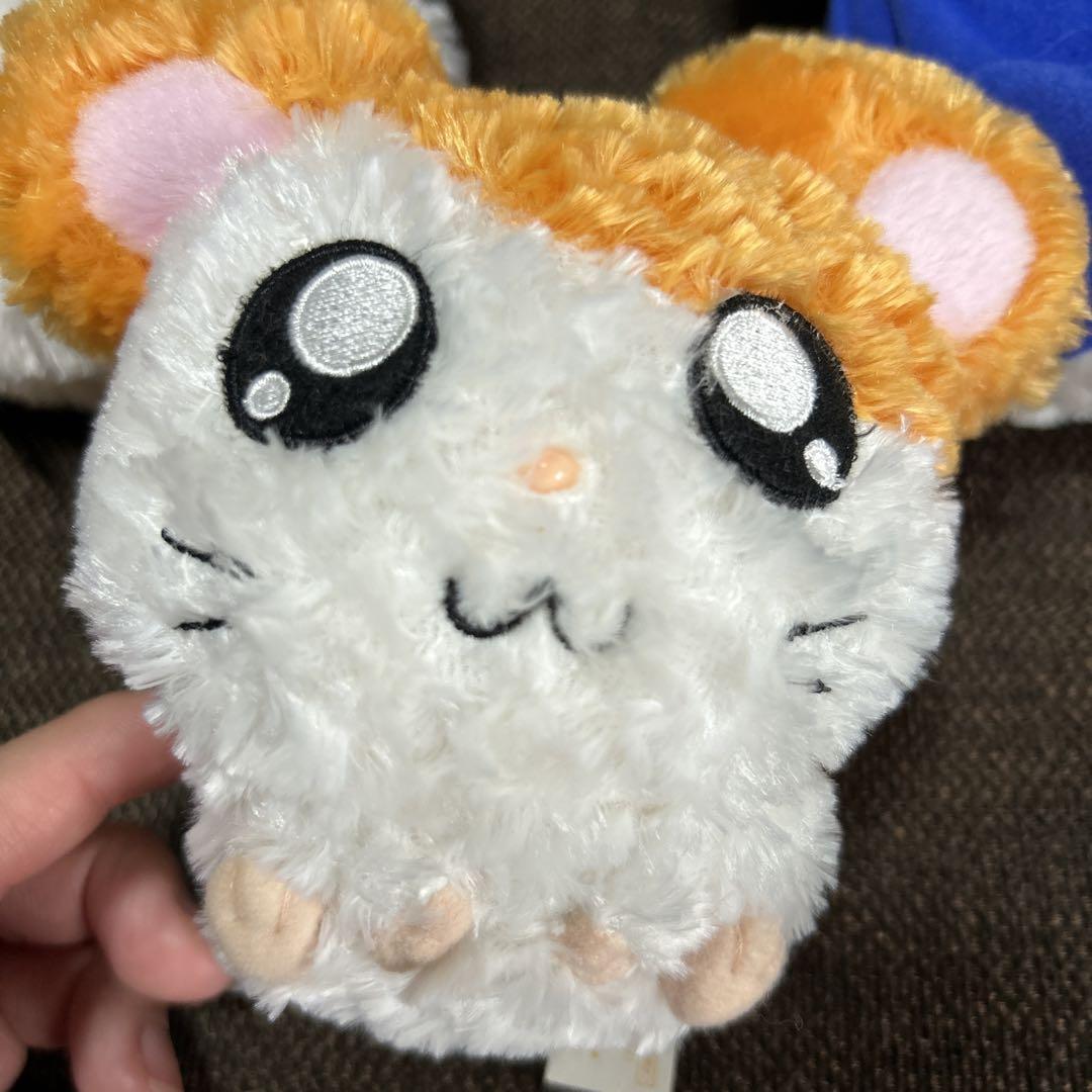 Hamtaro Lapis Scleri Sui Fandom Lapis In Hamtaro Wattpad