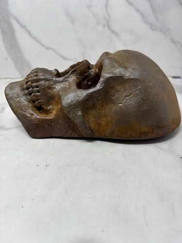 VTG Incredible Human Skull Cast - Unsure Of Material But HEAVY And ...
