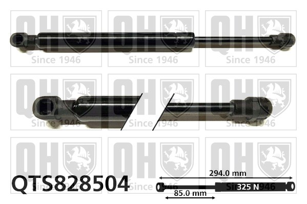 Bonnet Gas Strut QTS828504 Quinton Hazell Spring Lift Front 654702253R ...