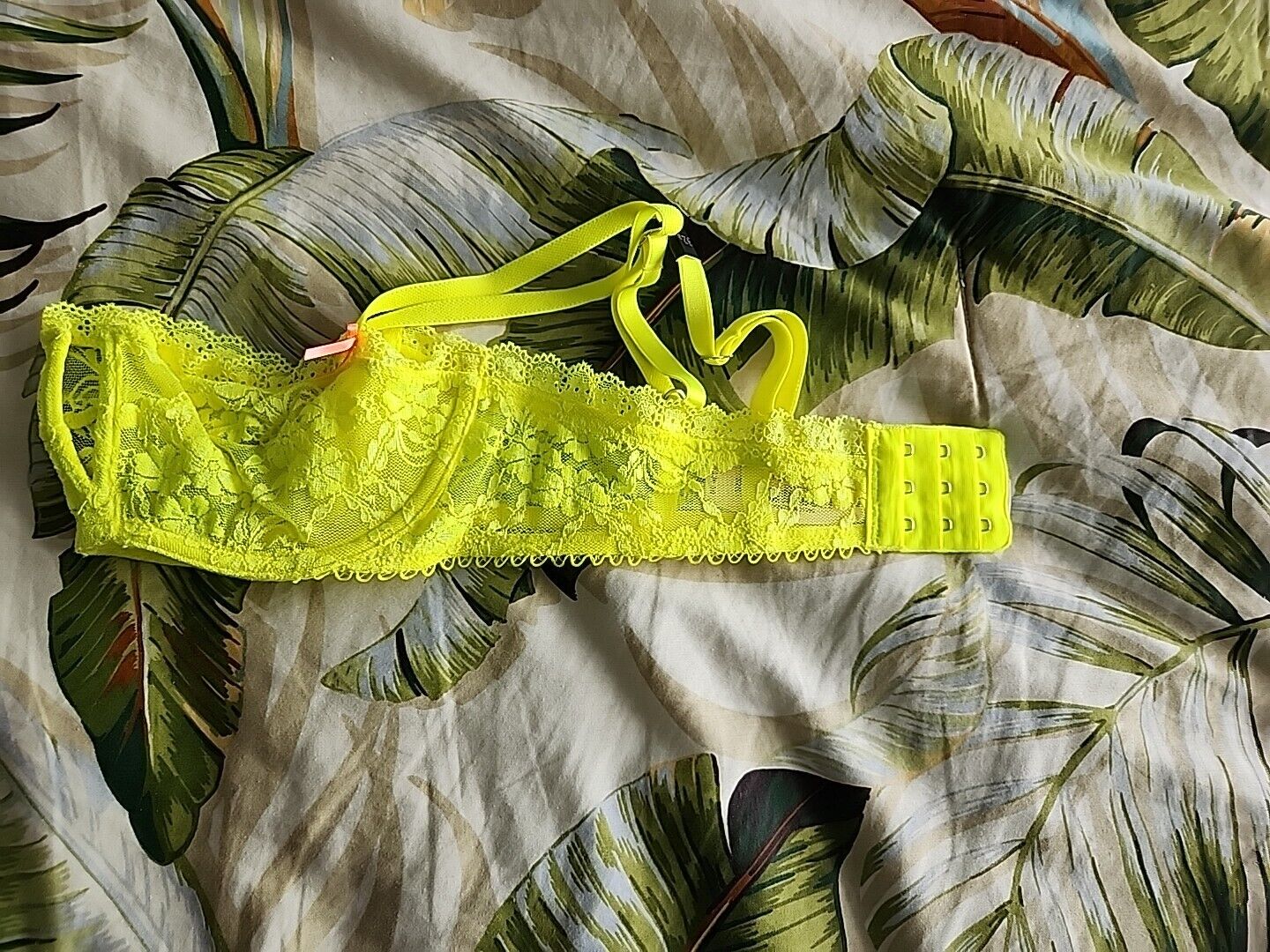 Victorias Secret Dream Angels Push Up Lace Bra 32b Nwt No Reserve