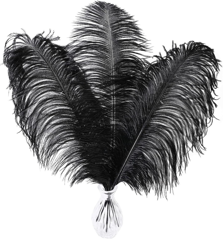 Large 16-18" Black Ostrich Feathers (10pc) - Soft, Natural, High-Value ...