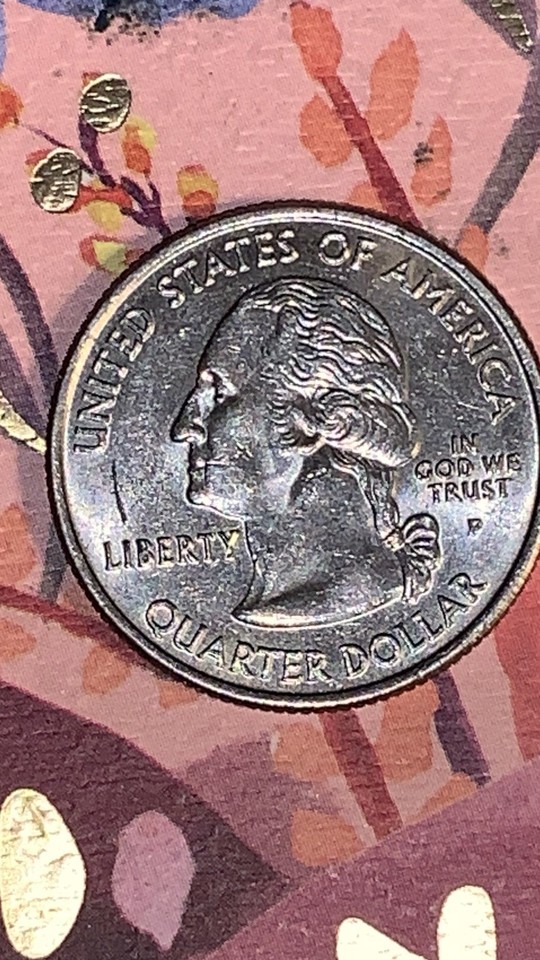 2004 High Leaf Error Wisconsin P Mint Mark Quarter… Nice Condition ...