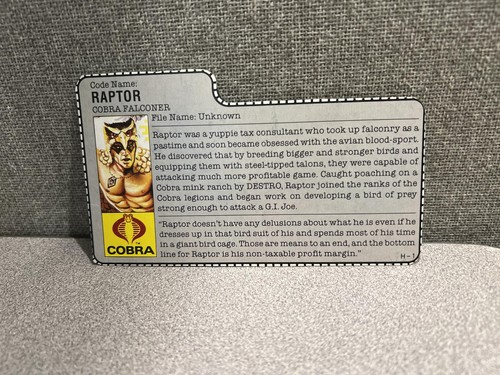 GI Joe Raptor Cobra Falconer File Card Only | eBay