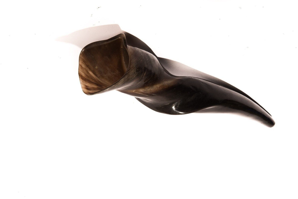 Shofar Eland Horn For Sale 18''-22'' Kosher Polish Good Sound Shofars ...