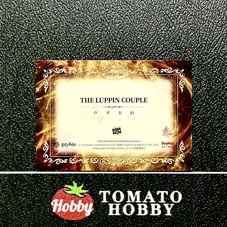 KAKAWOW COSMOS HARRY POTTER 2025 REMUS LUPIN UNPARALLELED FAMLIY CHP-EF ...