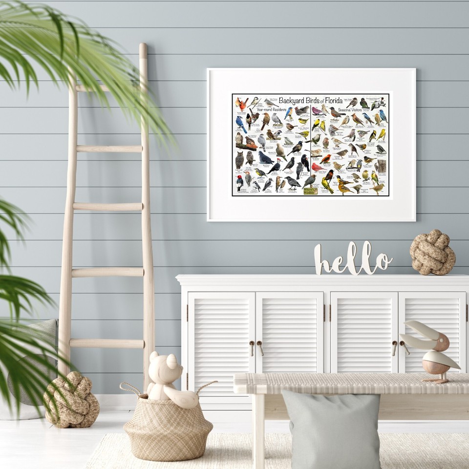 Backyard Birds of Florida Bird Identification Nature Poster / Quick ...