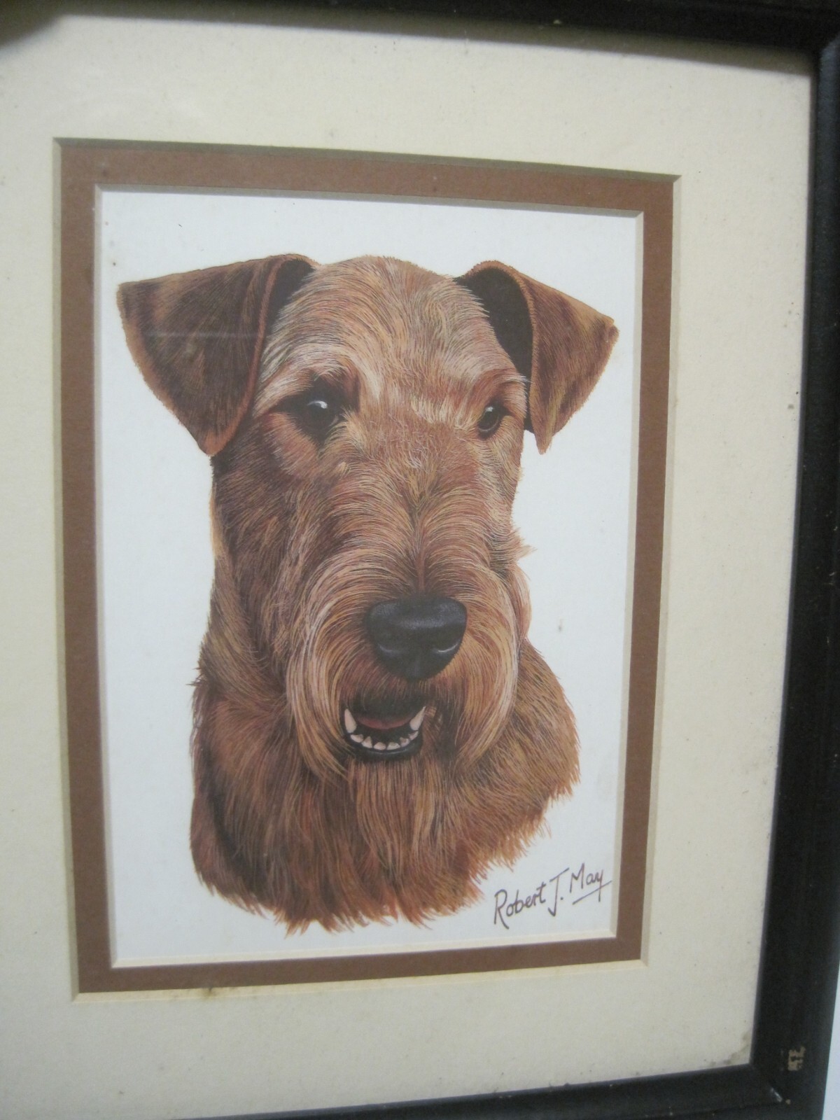 Robert J. May AIREDALE TERRIER DOG Print WOOD FRAMED&MATTED - 11.5" X 9 ...