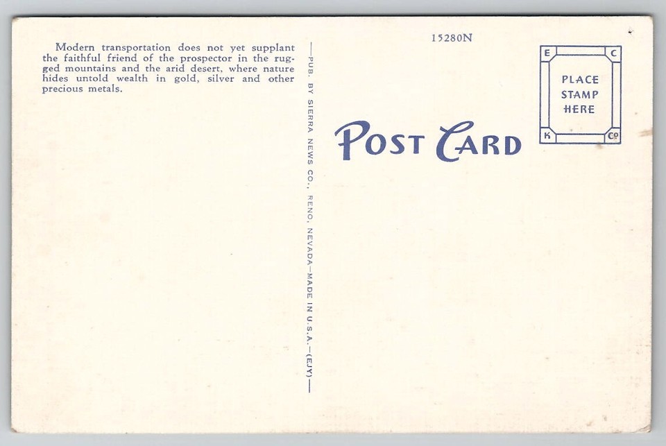 Donkeys Reno Nevada Desert Scene With Burro Family Postcard R28 | eBay