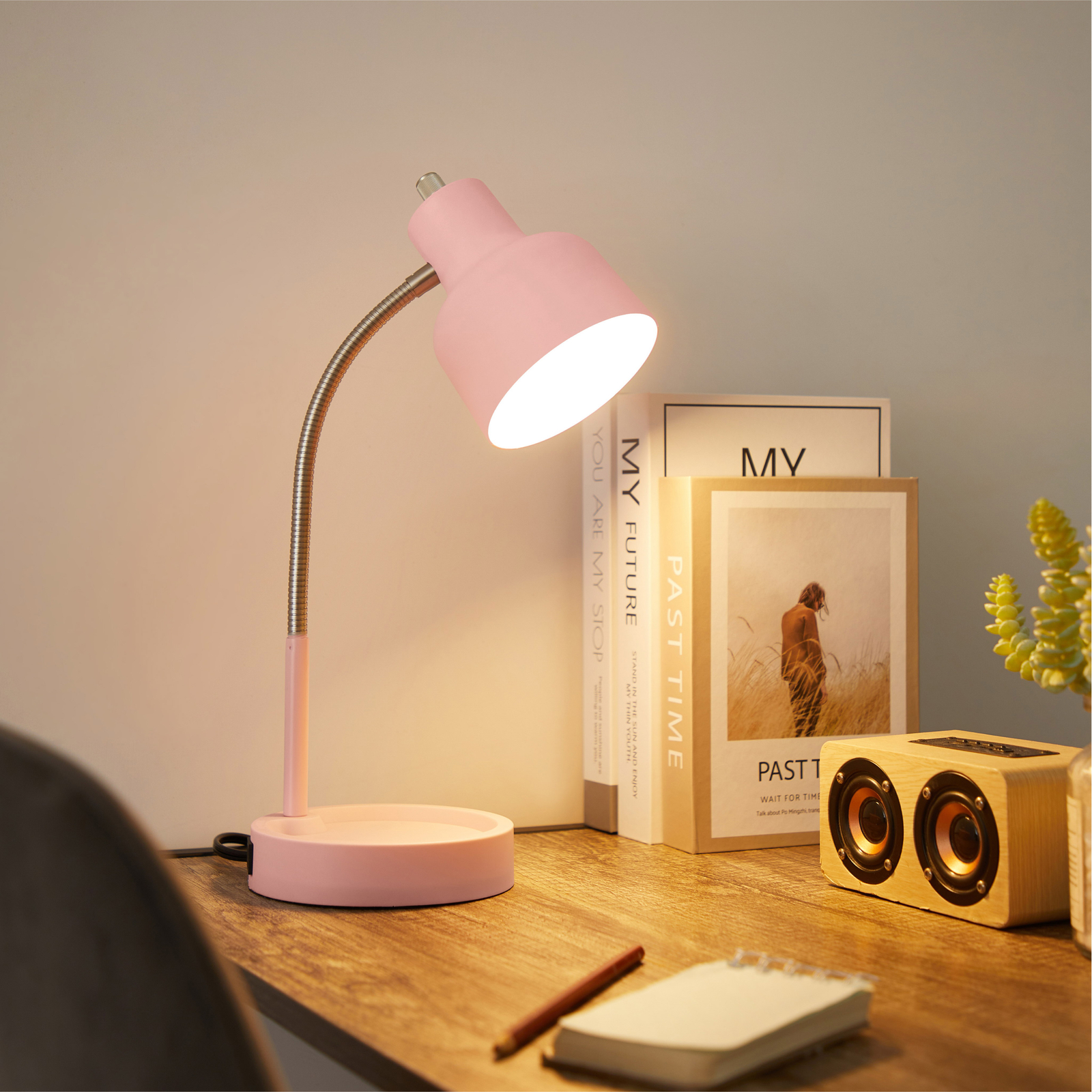 Pink Fashion Home Table Light LED Desk Lamp with Catch-All Base & AC ...