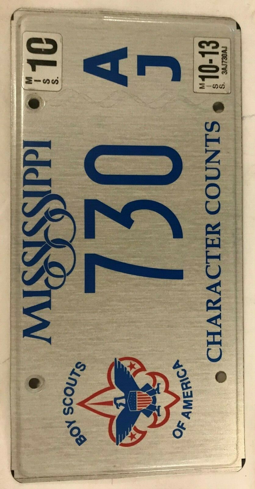 BOY GIRL SCOUT license plate Scouting Troop Camp Jamboree BSA Baden ...