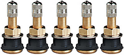 (5) TUBELESS TR501 TR-501 TR 501 BRASS BOLT IN TUBELESS TIRE VALVE STEM ...
