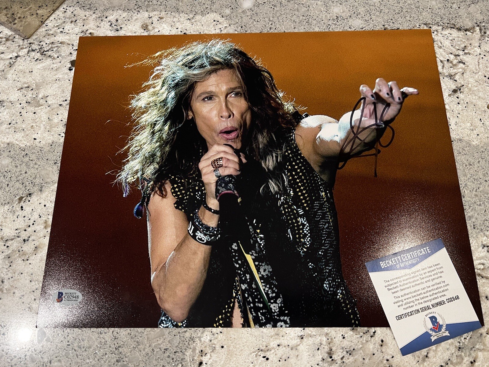Steven Tyler Autographed Memorabilia | Signed Photo, Jersey ...