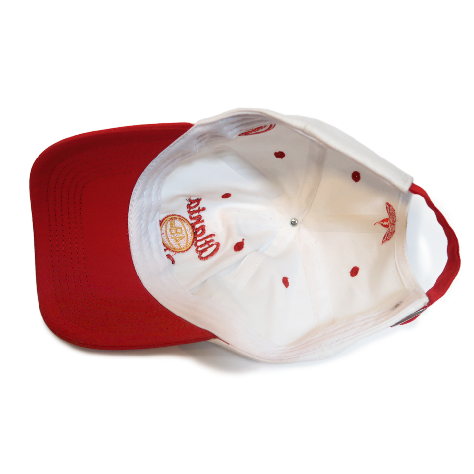 Atlanta Hawks Tremors5 Dad Cap - Burt Gummer | Gift Idea for Tremors ...