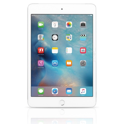 Apple iPad Mini 4th Generation, 7.9-inches, 16GB, WIFI Only - Silver | eBay