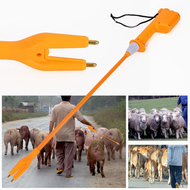 Cattle Prod