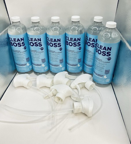 CLEAN BOSS MULTI-SURFACE DISINFECTANT CLEANER 24 FL OZ FRESH THYME ...