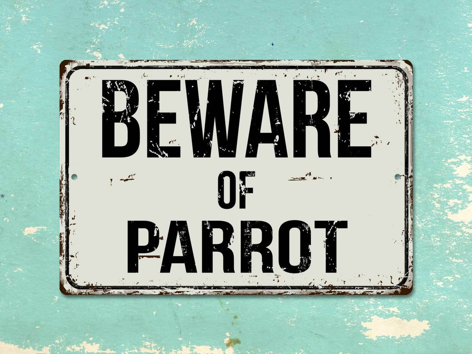 430VS Beware Of Parrot 8 "x 12" Vintage Aluminum Retro Metal Sign | eBay