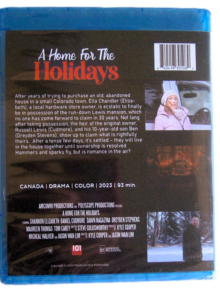 A Home for the Holidays (Blu-ray, 2023) Daniel Cudmore, Shannon ...