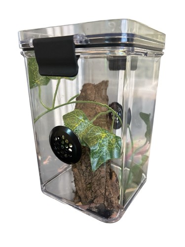 Praying Mantis,Stick Insect,Tall Arboreal, Vented, Spiders, Cage,Tank ...
