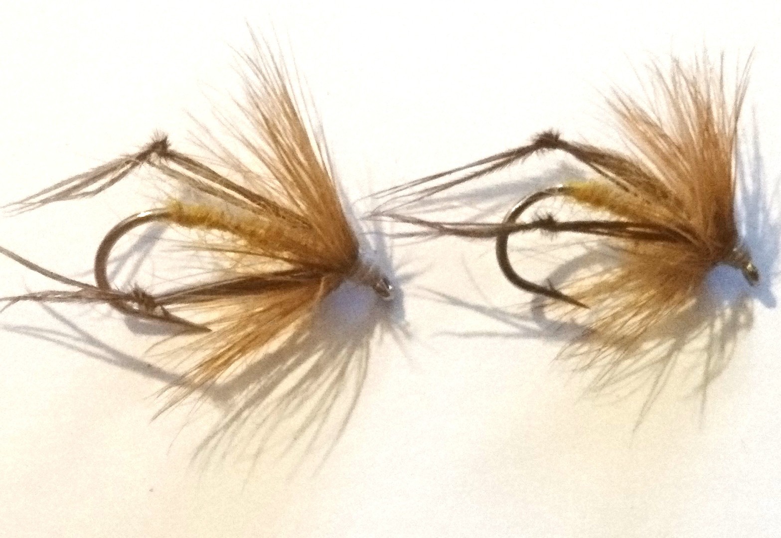 6 Rutland Grafham Ginger Hoppers sz10/12 - Flies by Iain Barr WCC Fly ...