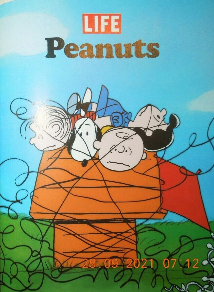 Peanuts Comic Life