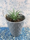 Ceramic Planter Pot Blue-Gray Diamond Quilt 4.5" With Artificial ...