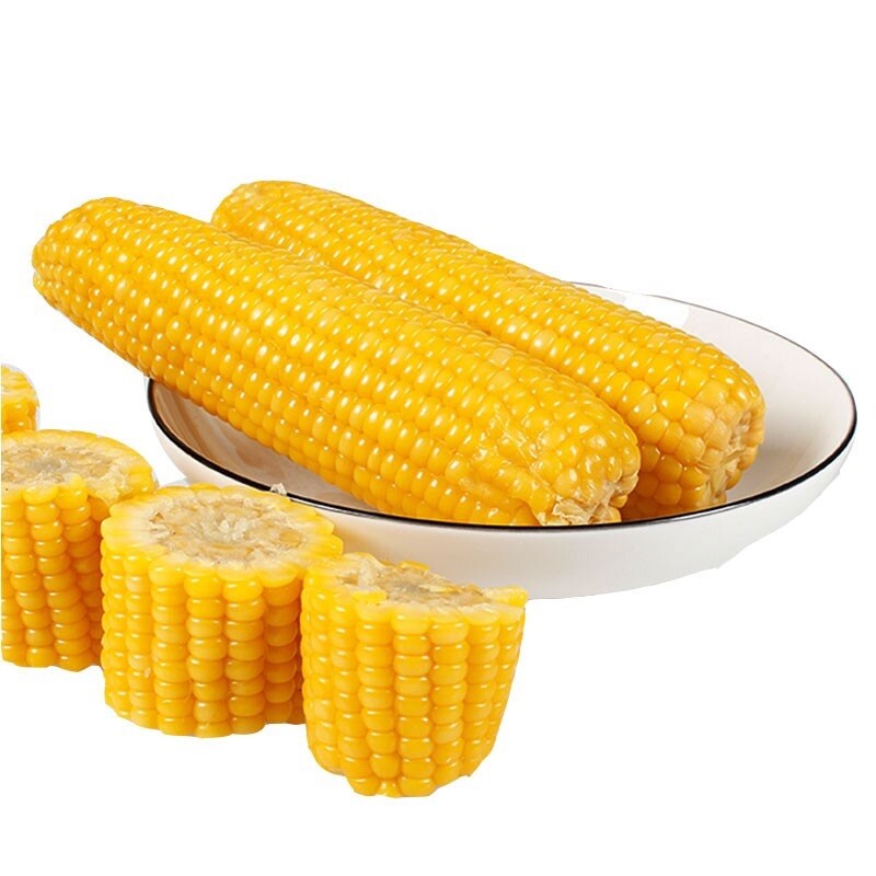 1-OZ 100+ Yellow Waxy Corn seeds; sticky glutinous corn; Drought ...