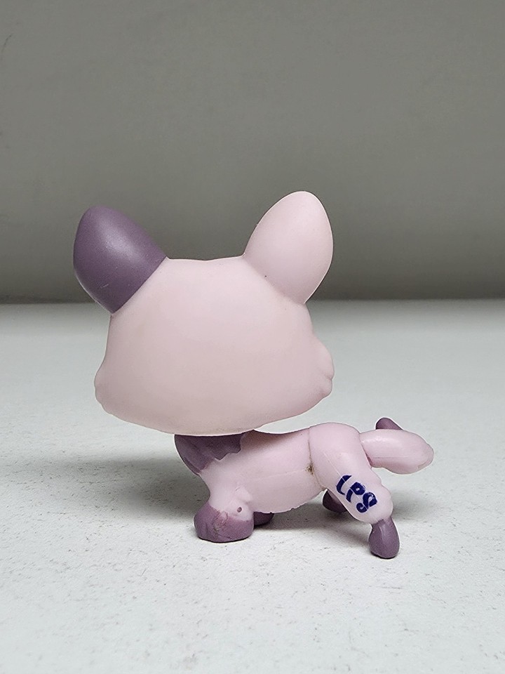 Littlest Pet Shop 1645 Lps Authentic Purple Lavender Corgi Blue Eyes ...