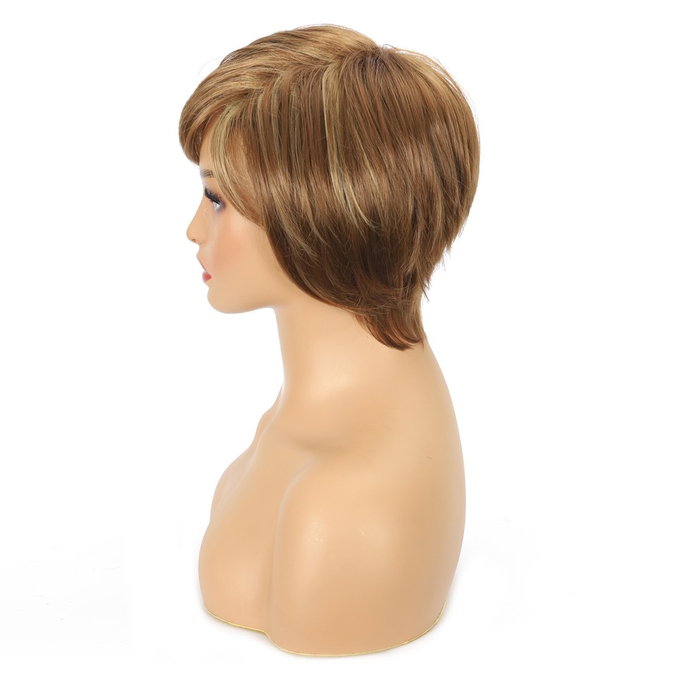 Shrot Straight Black Brown Hair Wigs for Black Women Party Daily Used ...