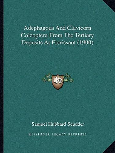 Adephagous and Clavicorn Coleoptera from the Tertiary Deposits at ...