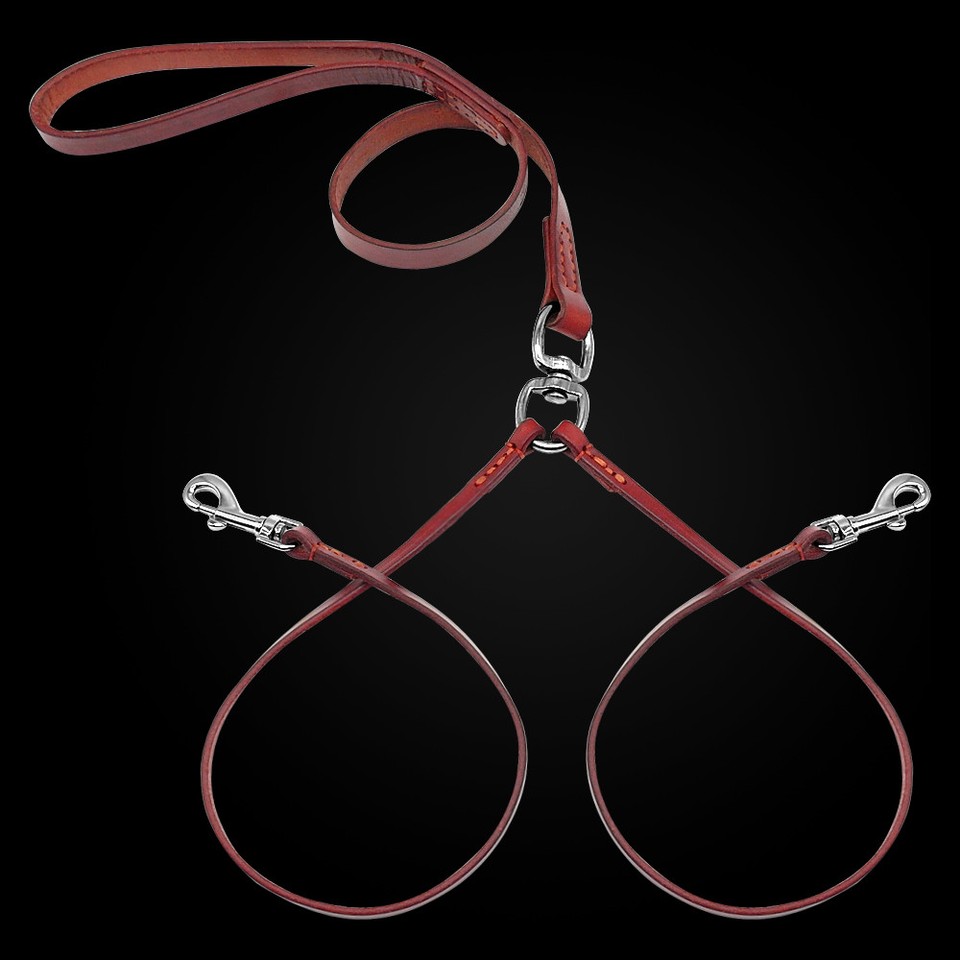 Leather 2 Way Dog Coupler Twin Leash Pet Double Leads for Two Twin Dogs ...