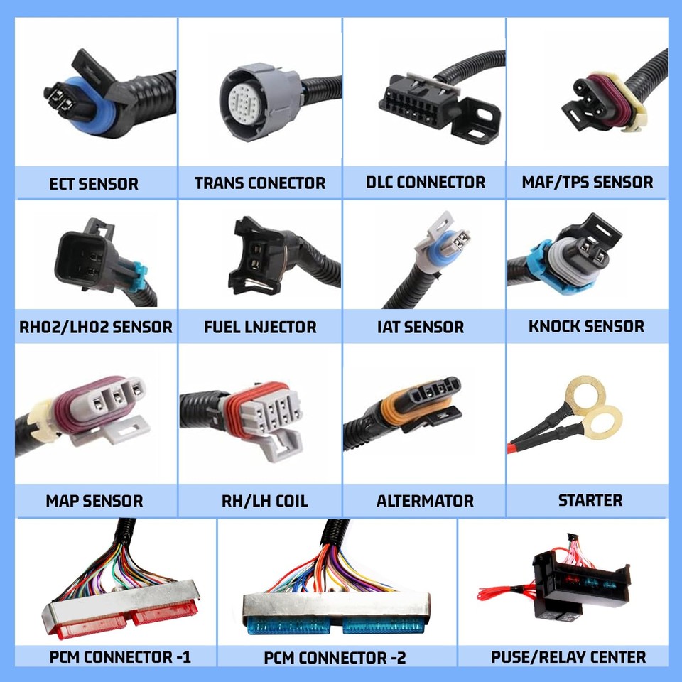 LS1 Engine Standalone Wiring Harness 4L60E DBC Compatible with GM DBC ...