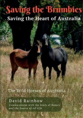 David Rainbow Saving the Brumbies - Saving the Heart of Australia ...