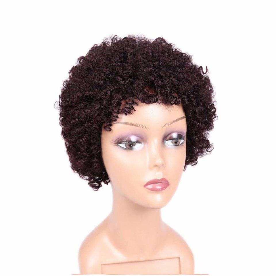 Afro Kiinky Curly Wigs 100% Peruvian Human Hair Curly Short Wigs None ...