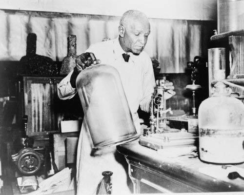 8" x 10" Photo 1937 George Washington Carver working in a laboratory ...