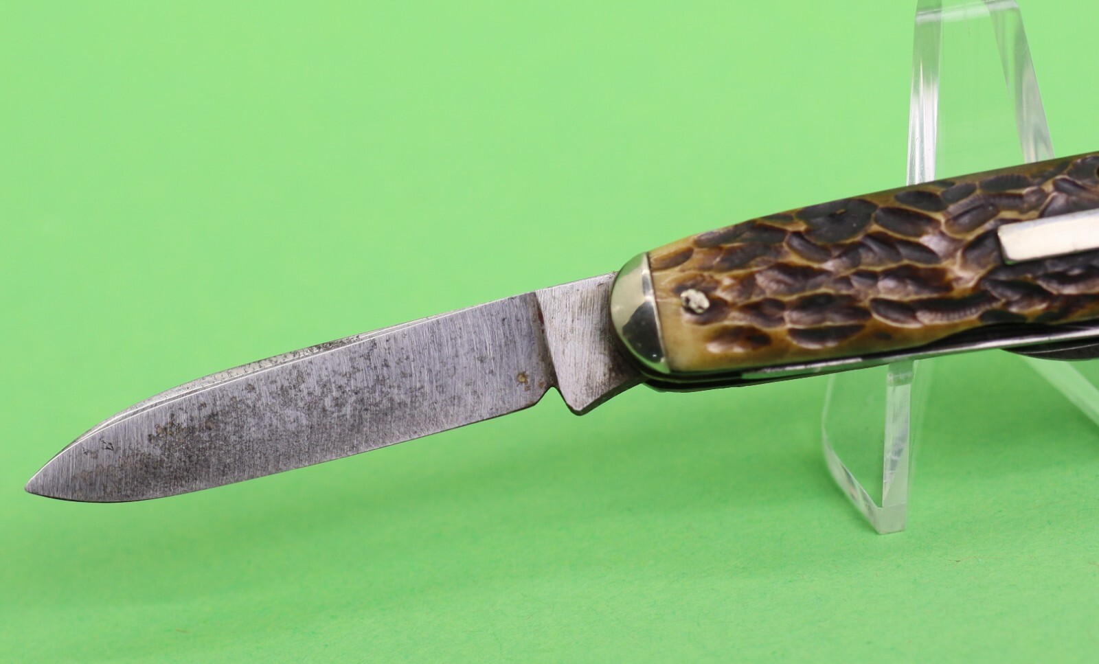 Vintage William Enders Oak Leaf Jigged Bone Handle 4-Blade Congress Pocket Knife | eBay