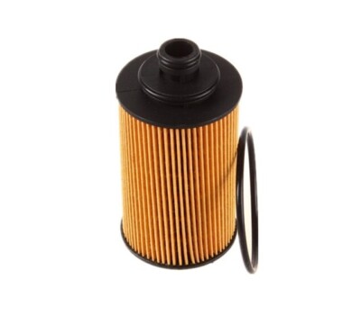 Genuine LDV G10 Oil Filter With Seal 1.9L Diesel | eBay