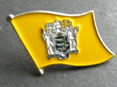 NEW JERSEY US STATE SINGLE FLAG LAPEL PIN BADGE 7/8 INCH | eBay
