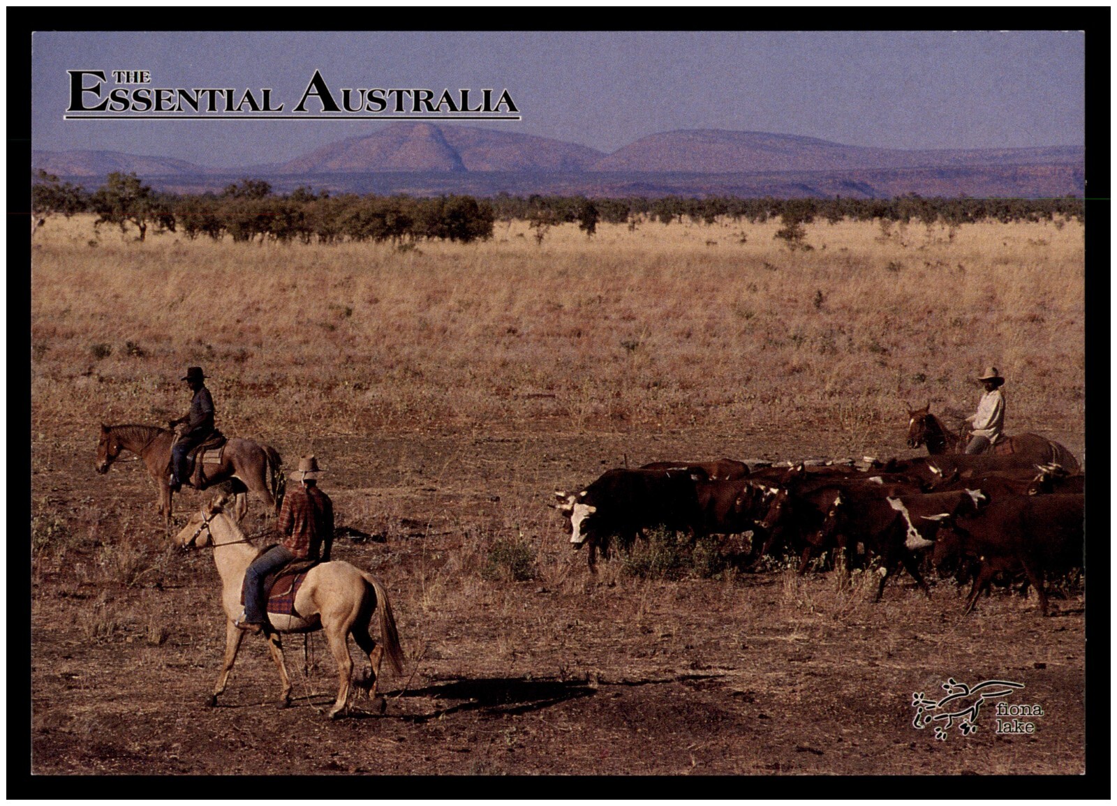 Postcard - At Plovers Bore, Mount House Station, W.A. | eBay Australia