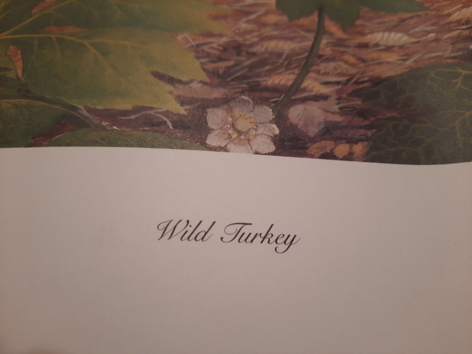 RAY HARM WILD TURKEY-3 BIRDS-$425.00 VALUE-$200 OFF-#42 OF 500 ...