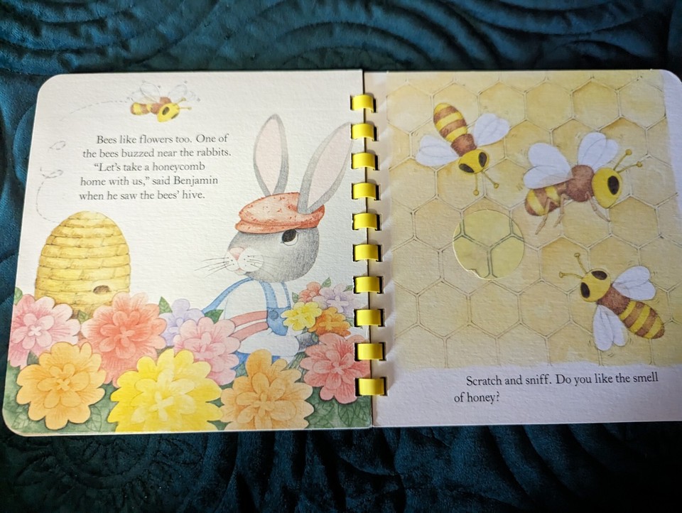 PETER RABBIT SNIFFY ADVENTURES (Sniffy Book) - Spiral Board Book - No ...