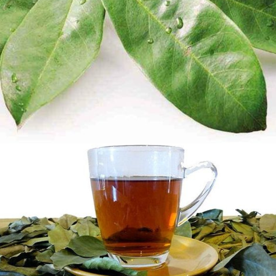 Soursop Graviola Leaves Powder Herbal Tea Organic Hojas De Guanabana ...