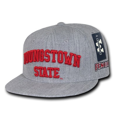 NCAA Youngstown State University Penguins Game Day Fitted Caps Hats | eBay