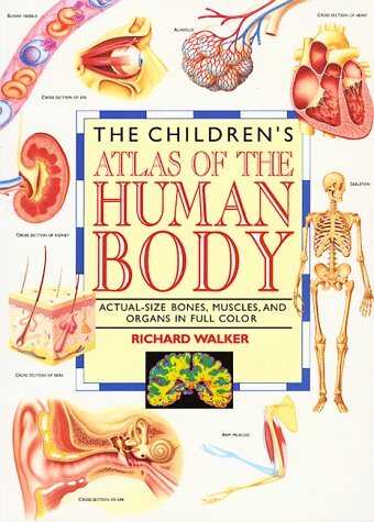 CHILD ATLAS: HUMAN BODY By Richard Walker **Mint Condition ...