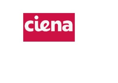 Ciena original 160-9700-900 16GFC/32GFC SFP28 Fiber Channel 850nm 100m ...
