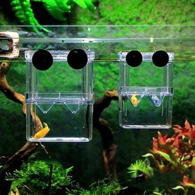 1 Pcs Fish Breeding Box Shrimp Hatchery Fish Tank Incubator Aquarium ...