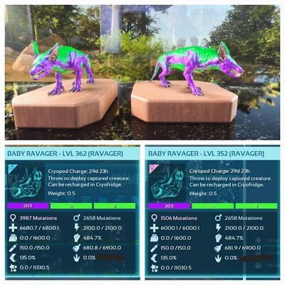 ARK ASCENDED PVE OFFICIAL PAIR BABY RAVAGER JOKER HIGH STATUS PC/XBOX ...