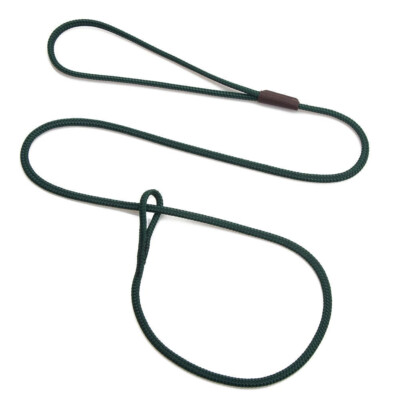 Mendota Show Loop Leash/Leash Lightweight HUNTER GREEN | eBay Australia