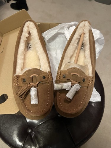 Brown Slippers From UGG New Size 7 With Box . Super Cute. | eBay